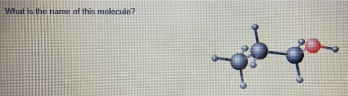 Solved What is the name of this molecule? | Chegg.com