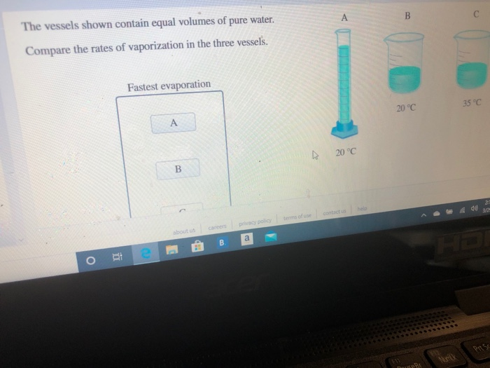 Solved The vessels shown contain equal volumes of pure | Chegg.com