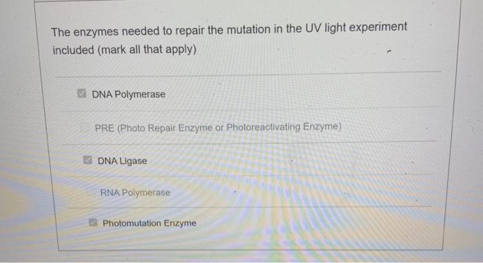 Solved The enzymes needed to repair the mutation in the UV | Chegg.com