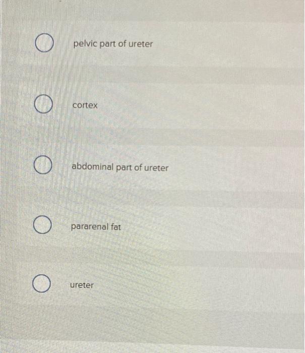 Solved Which structure is highlighted? O pelvic part of | Chegg.com