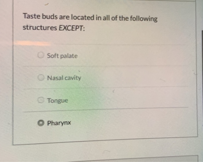 Solved What specific structures compose each taste bud? O | Chegg.com
