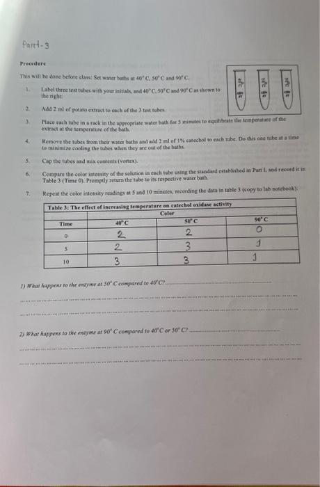 Catechol and catecbot oxidase are preseot it ihe | Chegg.com