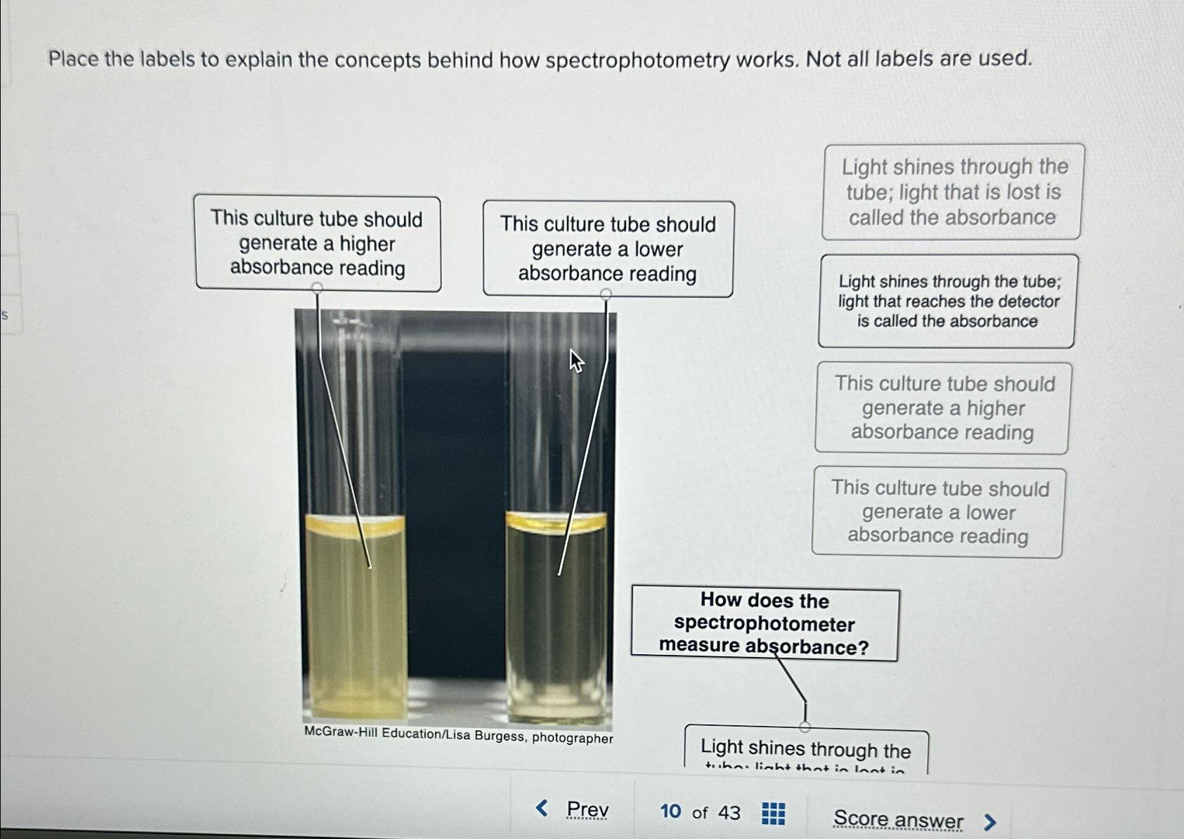 Solved Place the labels to explain the concepts behind how | Chegg.com