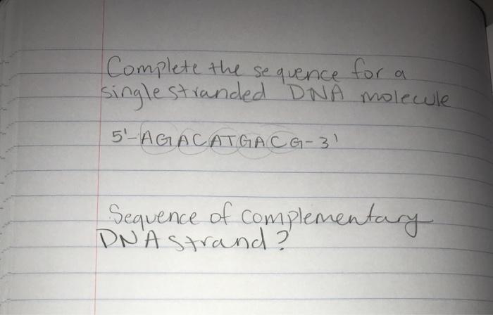 Solved Complete the sequence for a single stranded DNA | Chegg.com