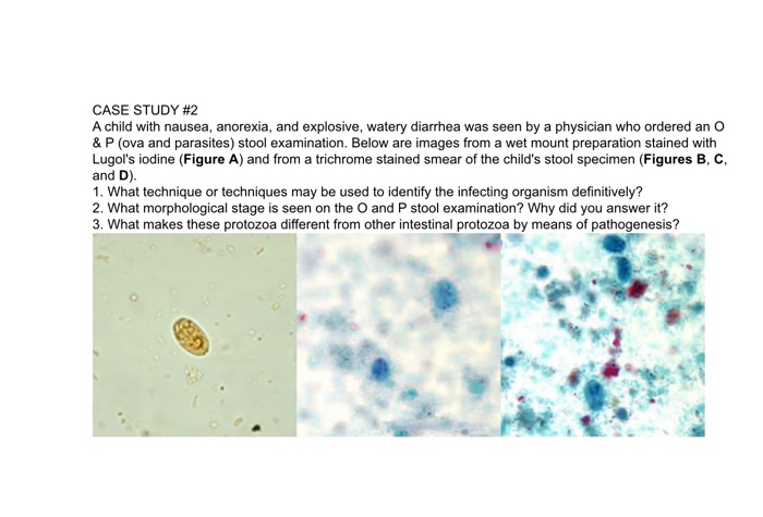 CASE STUDY #1 A 34-year-old male presents to the | Chegg.com