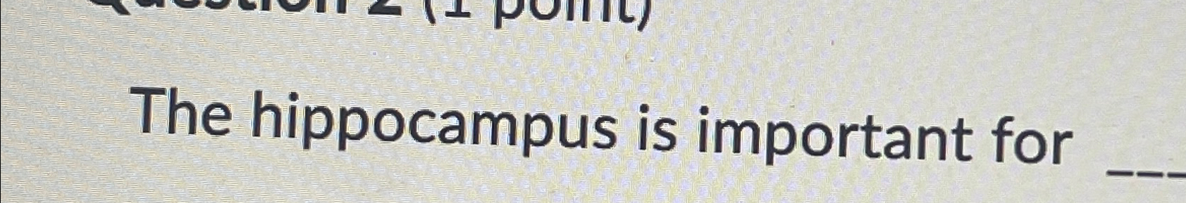 Solved The hippocampus is important for | Chegg.com