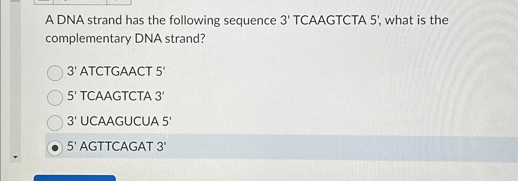 Solved A DNA strand has the following sequence 3 ' | Chegg.com