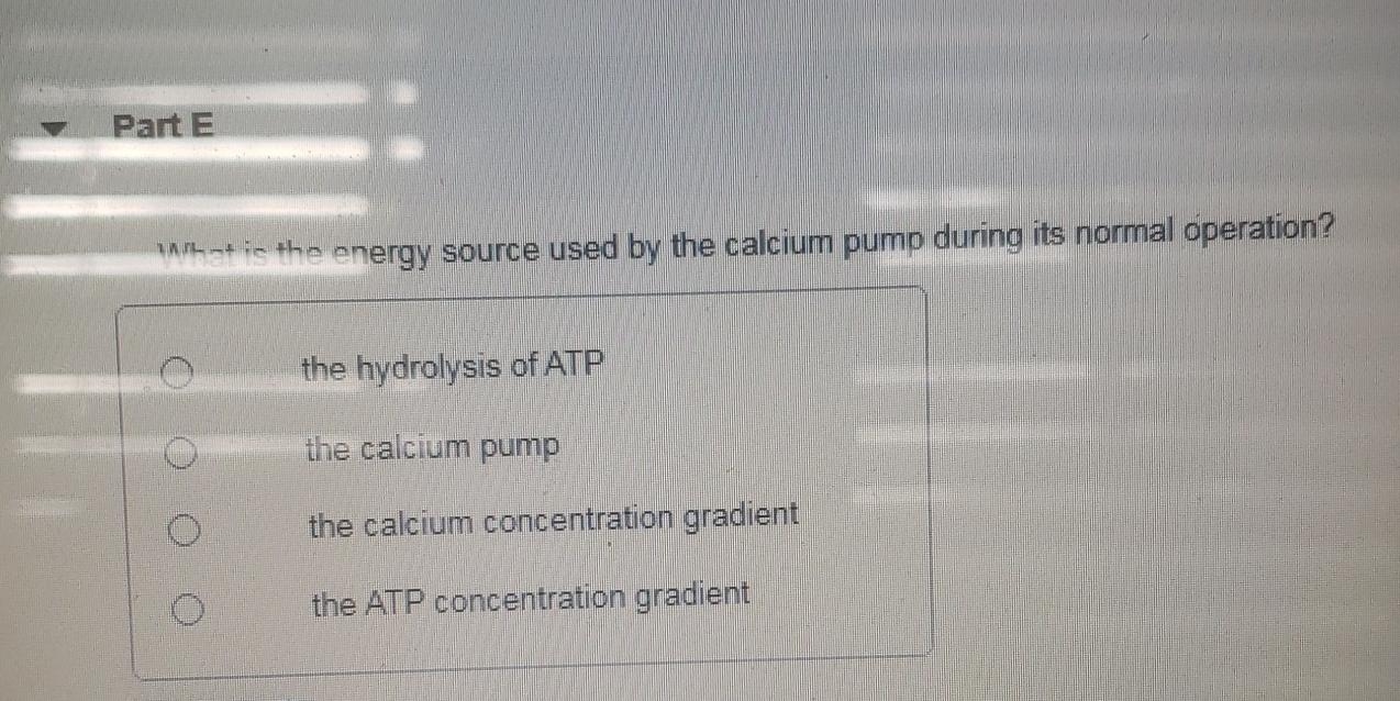 Solved Part EWhat is the energy source used by the calcium | Chegg.com