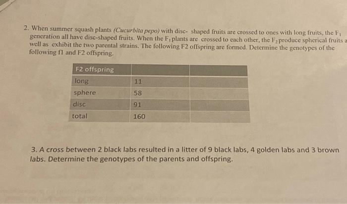 Solved 2. When summer squash plants (Cucurbita pepo) with | Chegg.com