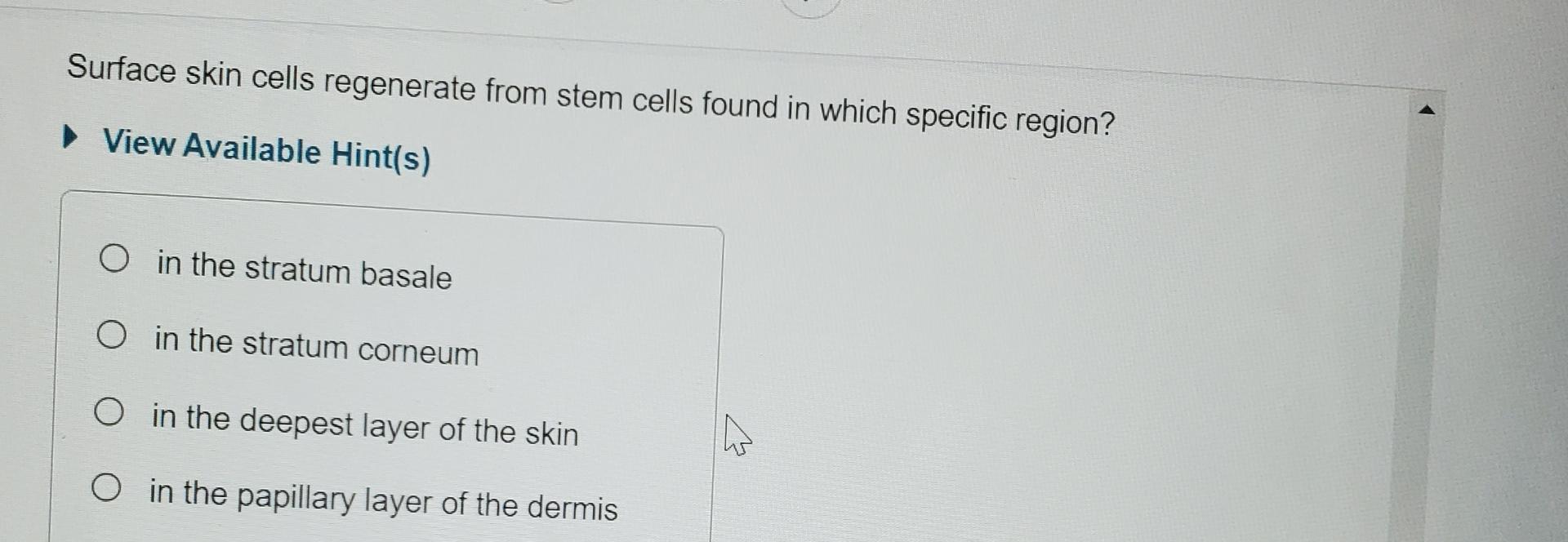 Solved Surface skin cells regenerate from stem cells found | Chegg.com