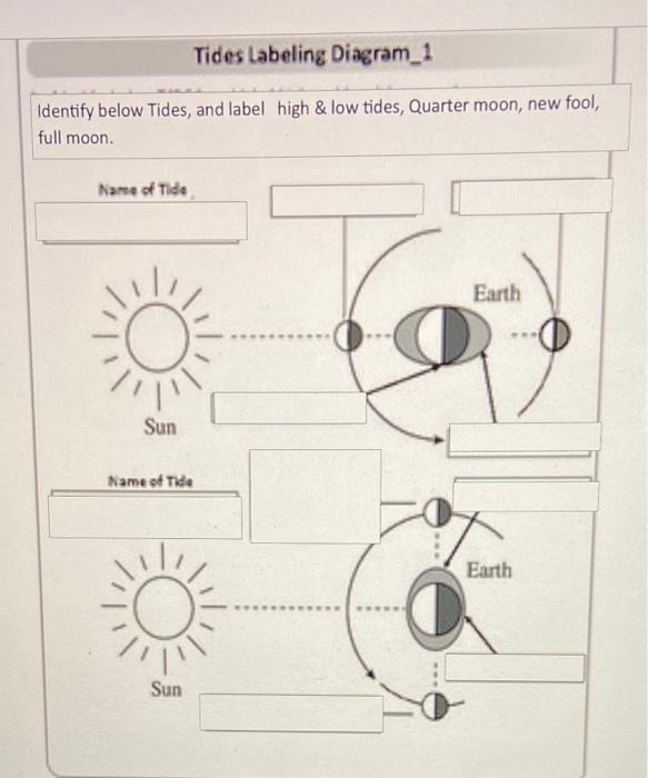 Solved Tides Labeling Diagram_1 Identify below Tides, and | Chegg.com
