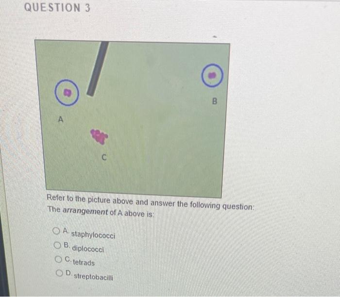 Solved QUESTION 1 Refer to the figure above and answer the | Chegg.com