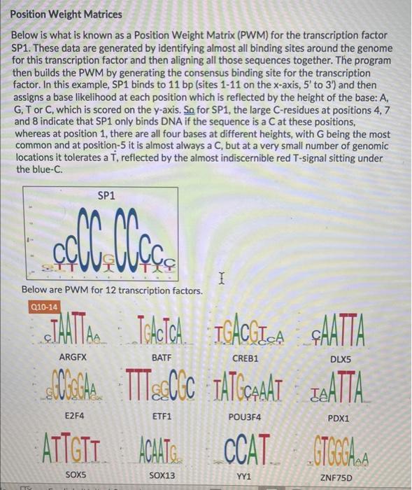 Solved Position Weight Matrices Below is what is known as a | Chegg.com