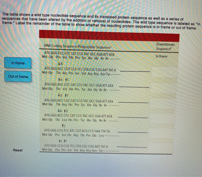 Solved The table shows a wild type nucleotide sequence and | Chegg.com