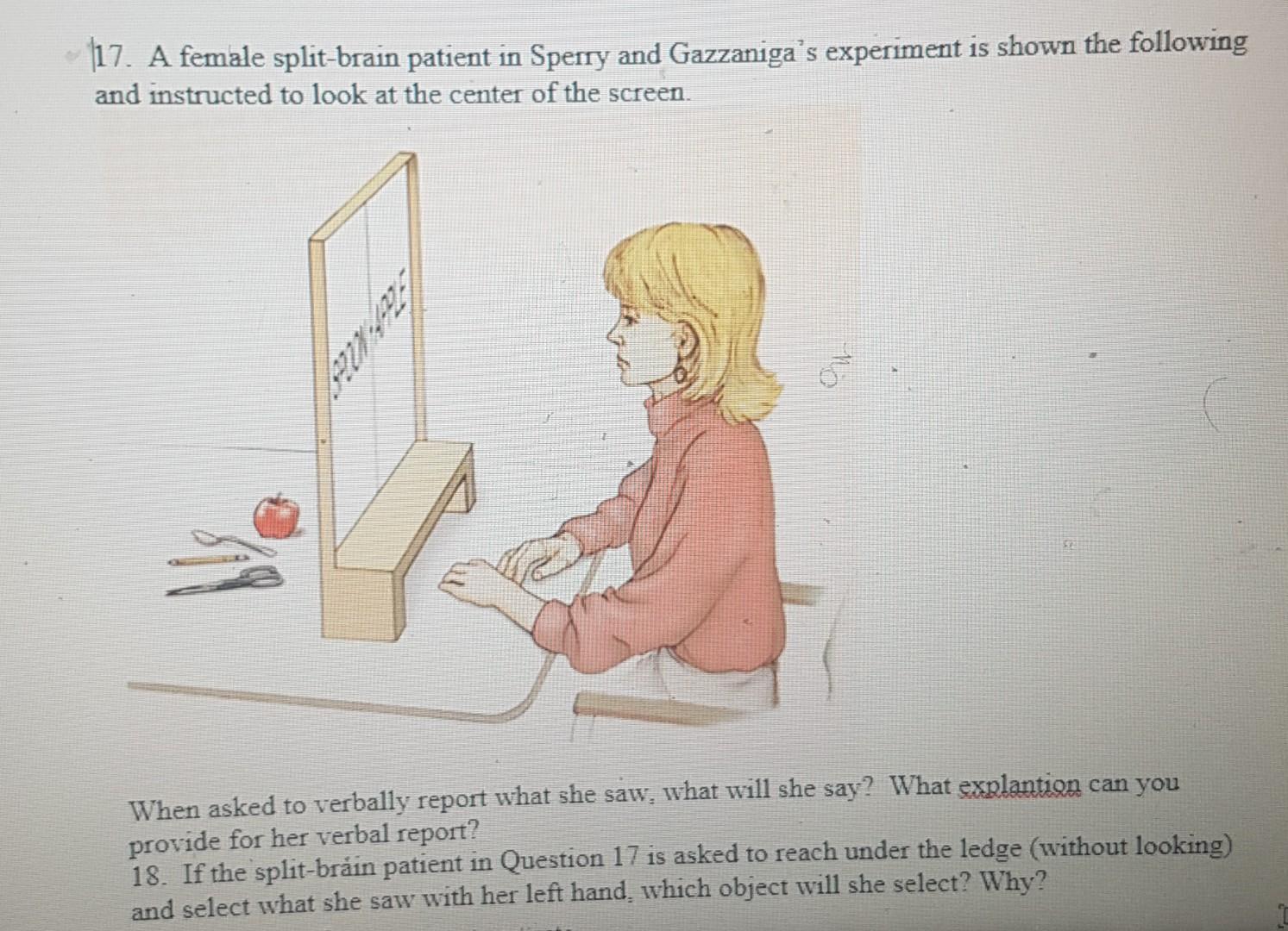 Solved 17. A female split-brain patient in Sperry and | Chegg.com