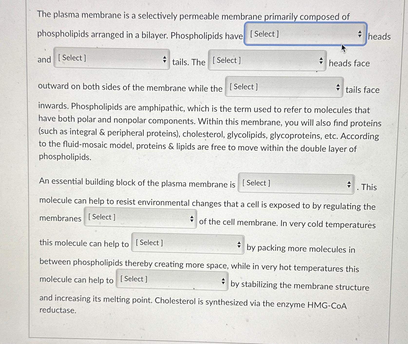 Solved The plasma membrane is a selectively permeable | Chegg.com