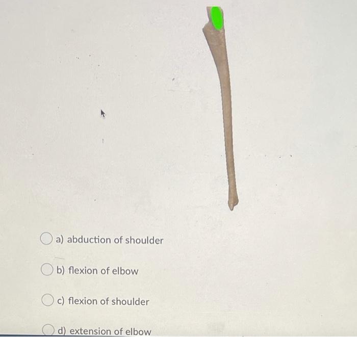 Solved a) abduction of shoulder b) flexion of elbow c) | Chegg.com