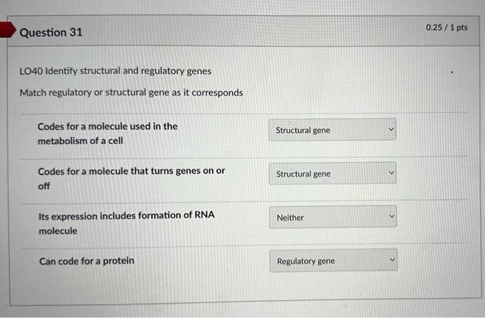 Solved LO39 Explain the importance of gene expression | Chegg.com