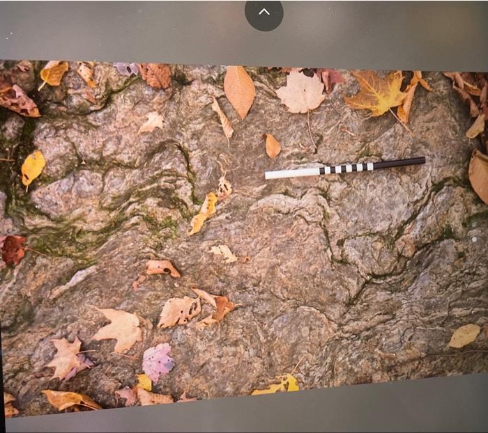 Solved Mount Snow Stop 1 - Albite Quartz Granofels At this | Chegg.com