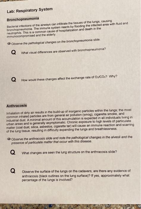 Solved Lab: Respiratory System Bronchopneumonia Bacterial | Chegg.com