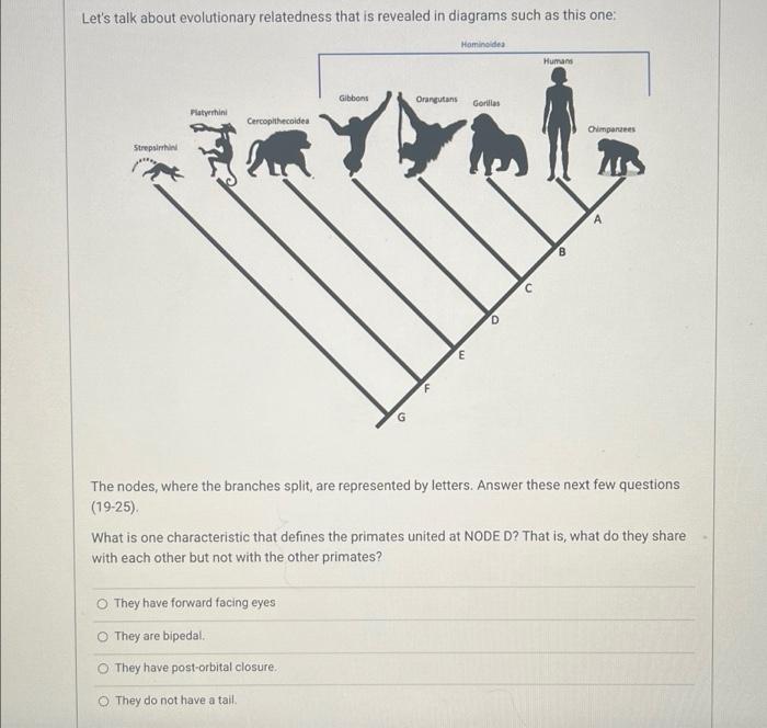 Let's talk about evolutionary relatedness that is | Chegg.com