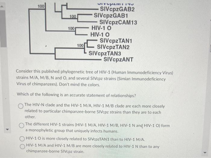 Solved Consider this published phylogenetic tree of HIV-1 | Chegg.com