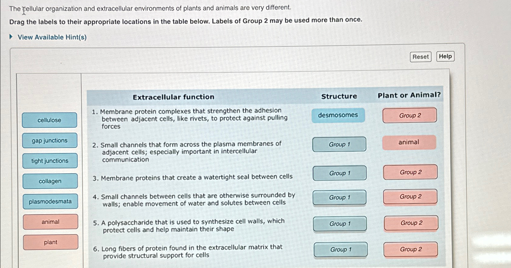 Solved The Yellular organization and extracellular | Chegg.com