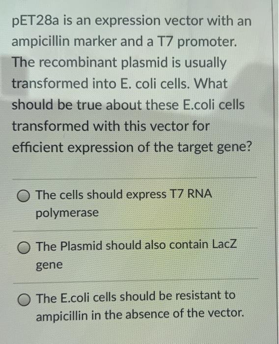 Solved PET28a is an expression vector with an ampicillin | Chegg.com