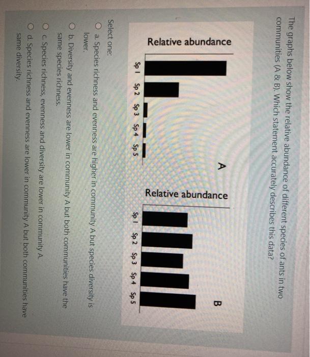 Solved The graphs below show the relative abundance of | Chegg.com