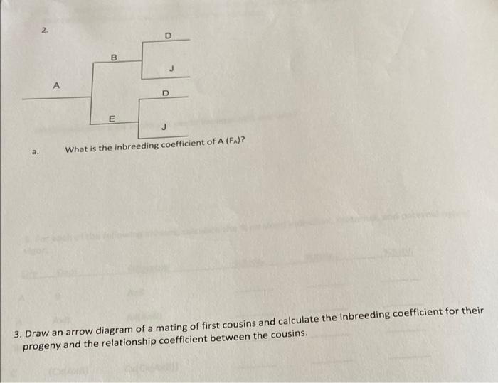 Solved i need help with number 3 drawing the arrow diagram | Chegg.com