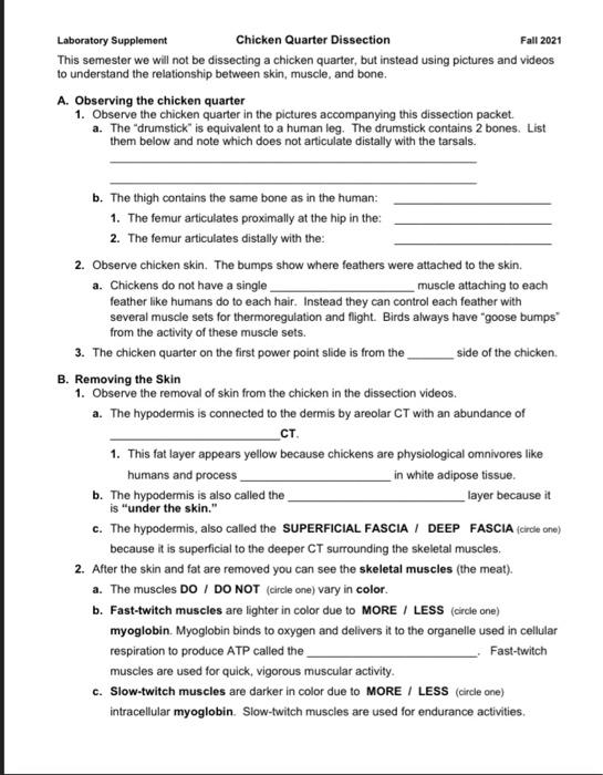 Solved Laboratory Supplement Chicken Quarter Dissection Fall | Chegg.com
