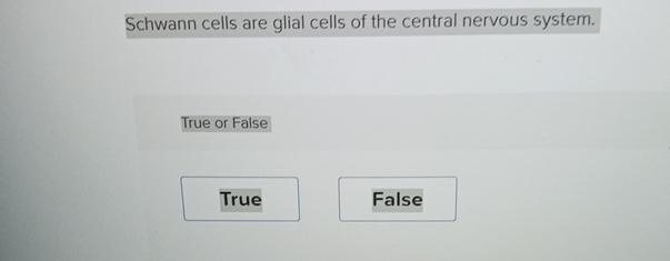 Solved Schwann cells are glial cells of the central nervous | Chegg.com