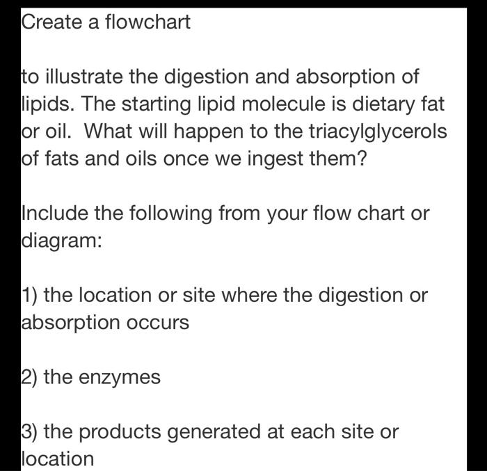 Solved Create a flowchart to illustrate the digestion and | Chegg.com