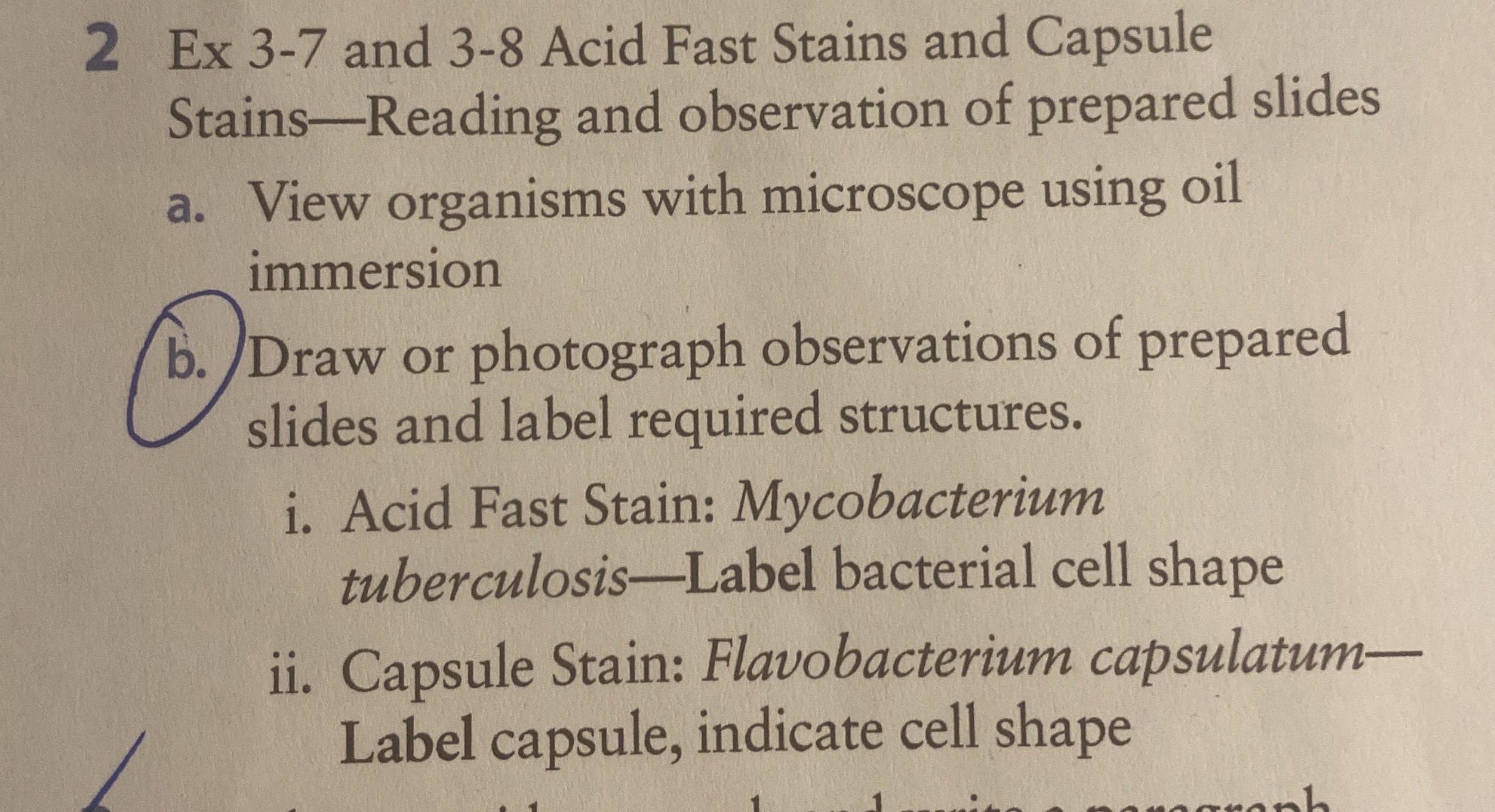 Solved 2 ﻿Ex 3-7 ﻿and 3-8 ﻿Acid Fast Stains and Capsule | Chegg.com