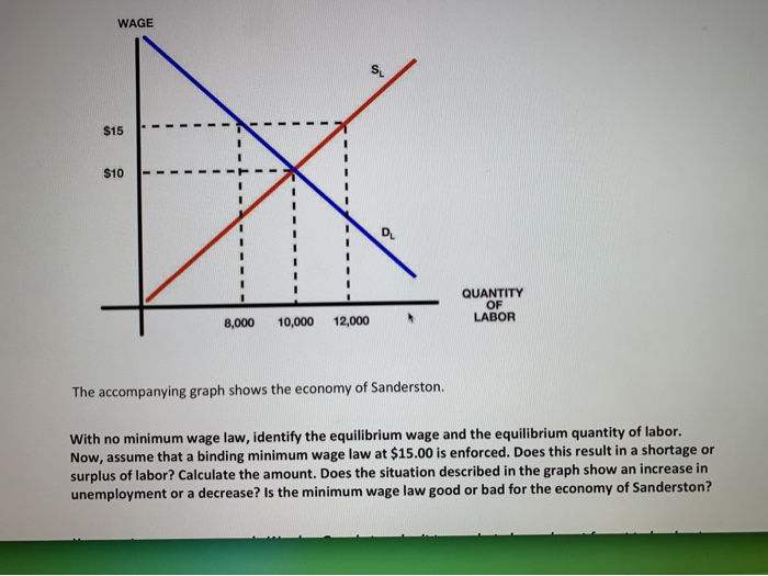 Solved WAGE $10 QUANTITY OF LABOR 8,000 10,000 12,000 The | Chegg.com