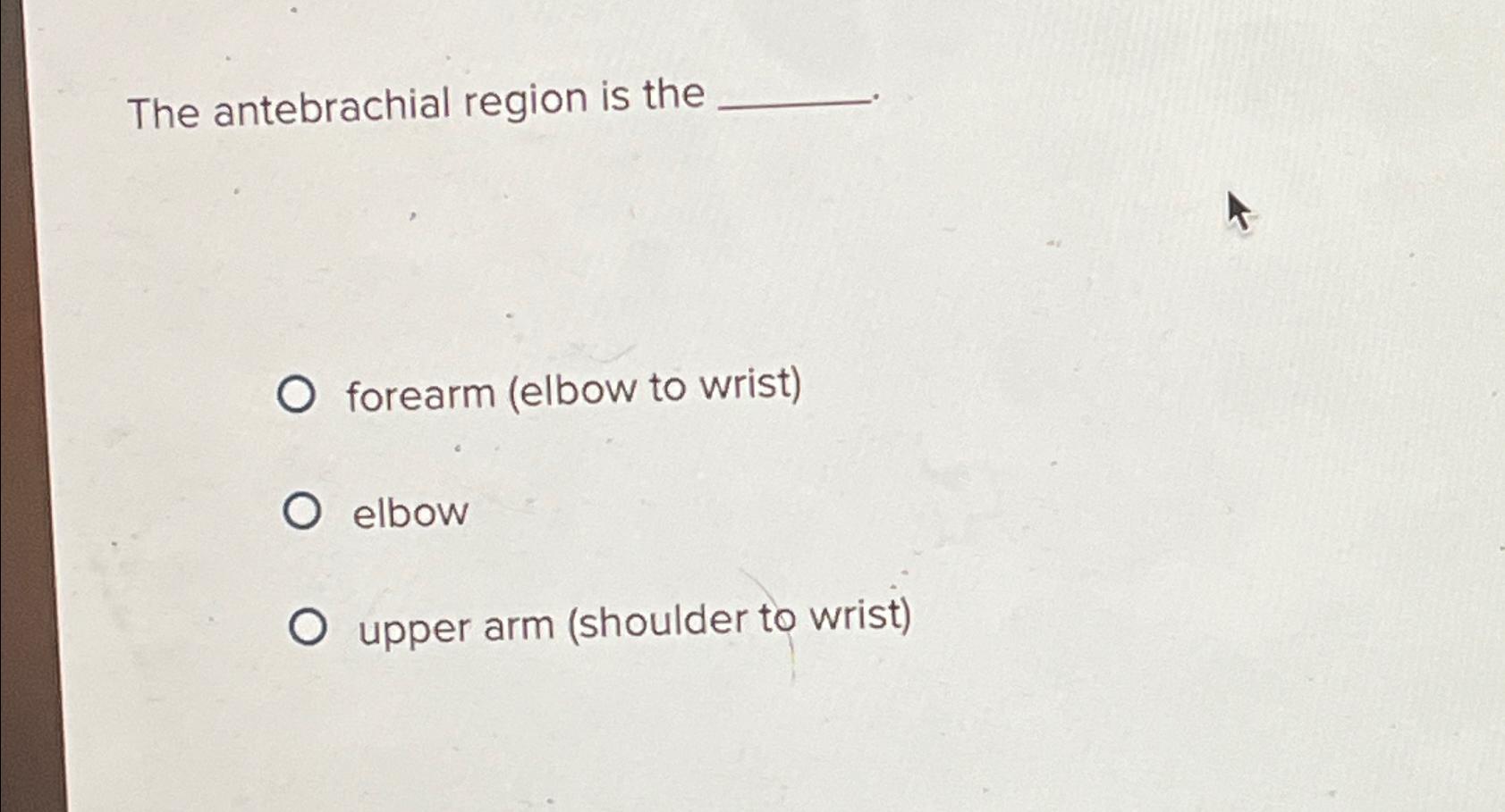 Solved The antebrachial region is theforearm (elbow to | Chegg.com