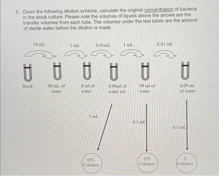 Solved 1. Given the following dilution scheme, calculate the | Chegg.com