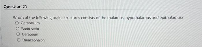 Solved Which of the following brain structures consists of | Chegg.com