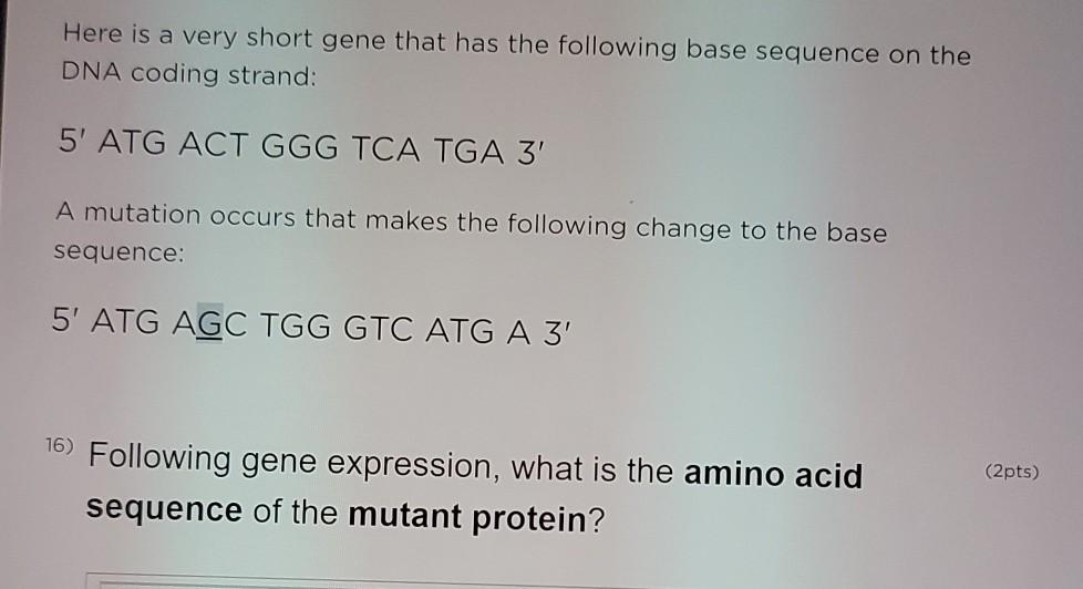 Solved Genetic Coding Problem Here is a very short gene that | Chegg.com