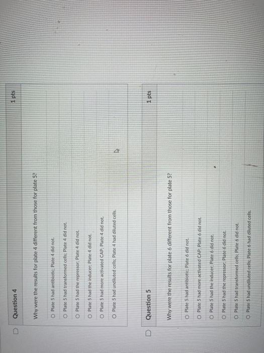 Solved pGLO Transformation Results Plate # 1 2 3 LB LB LB | Chegg.com