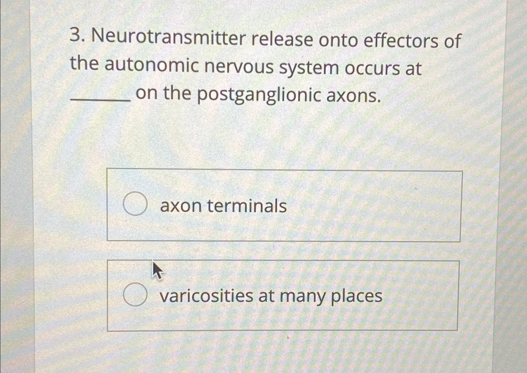 Solved Neurotransmitter release onto effectors of the | Chegg.com