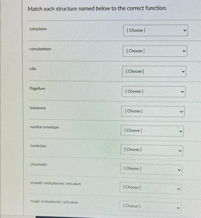 Match each structure named below to the correct | Chegg.com