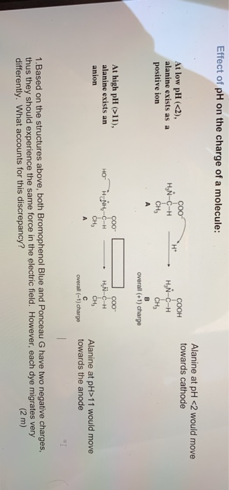 Effect of pH on the charge of a molecule: Alanine at | Chegg.com