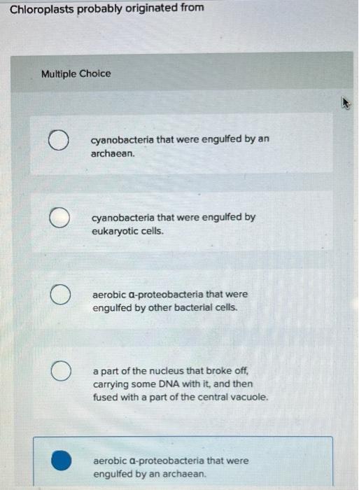 Solved Chloroplasts probably originated from Multiple Choice | Chegg.com