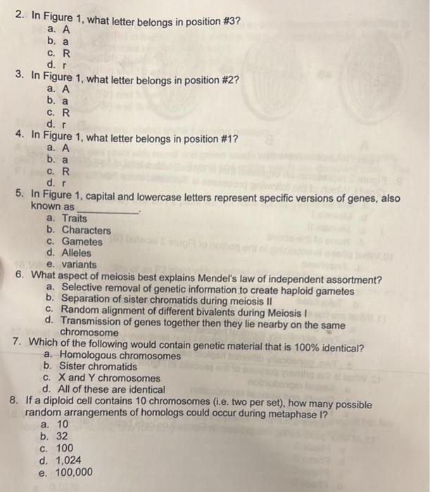 Solved ead each question carefully. Mark the correct answer | Chegg.com