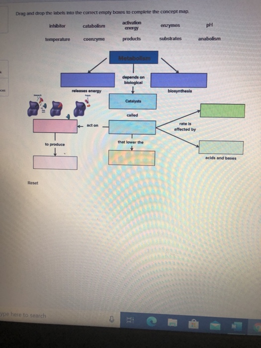 Solved Drag and drop the labels into the correct empty boxes | Chegg.com