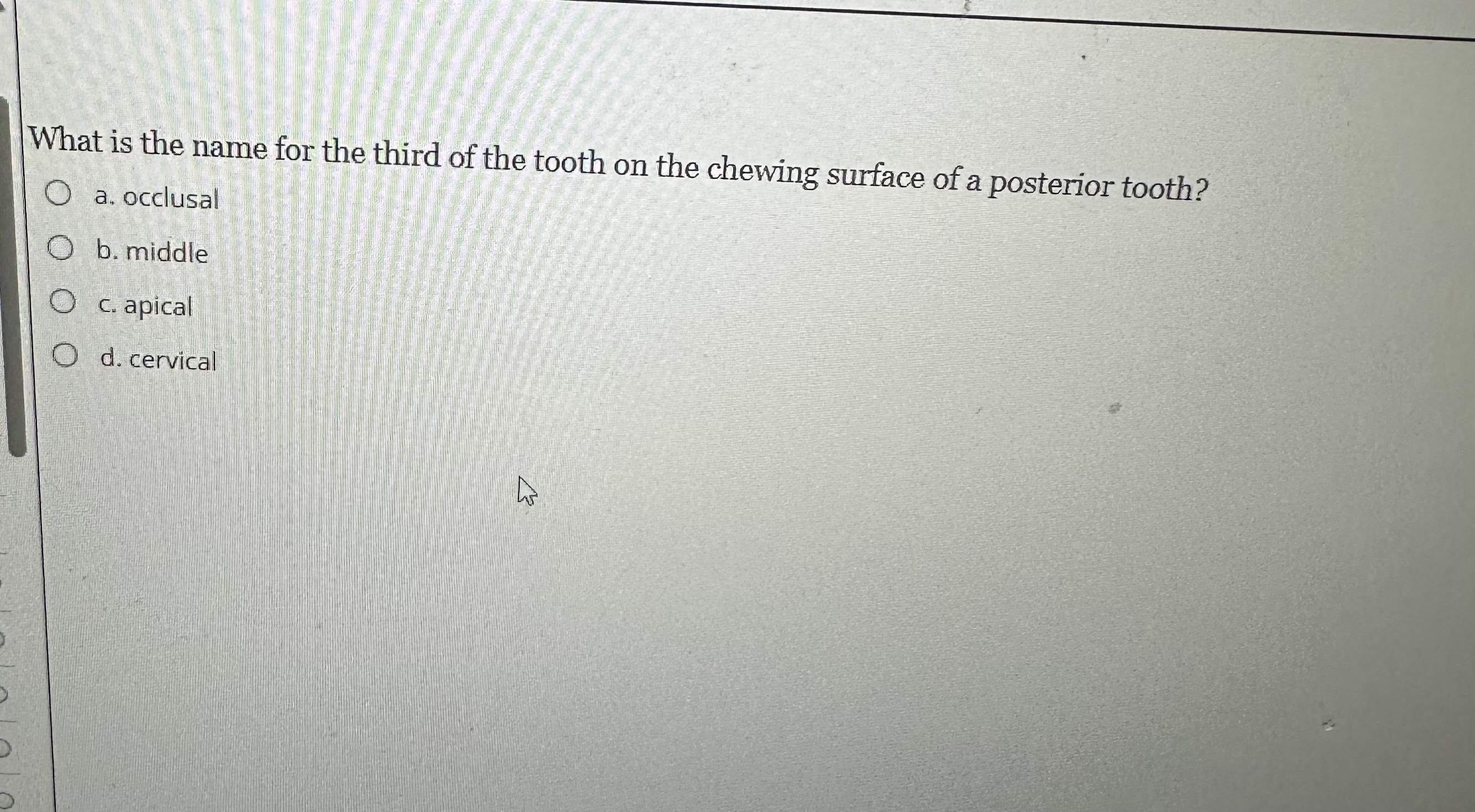 Solved What is the name for the third of the tooth on the | Chegg.com