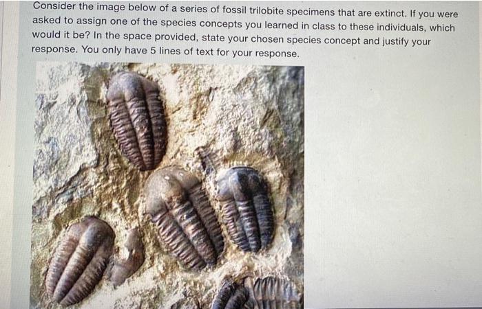 Solved Consider the image below of a series of fossil | Chegg.com