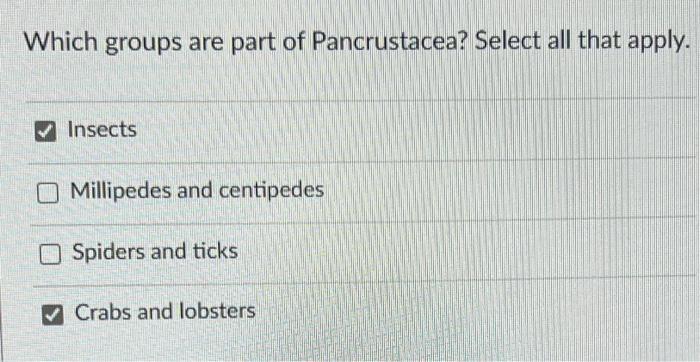Solved Which groups are part of Pancrustacea? Select all | Chegg.com