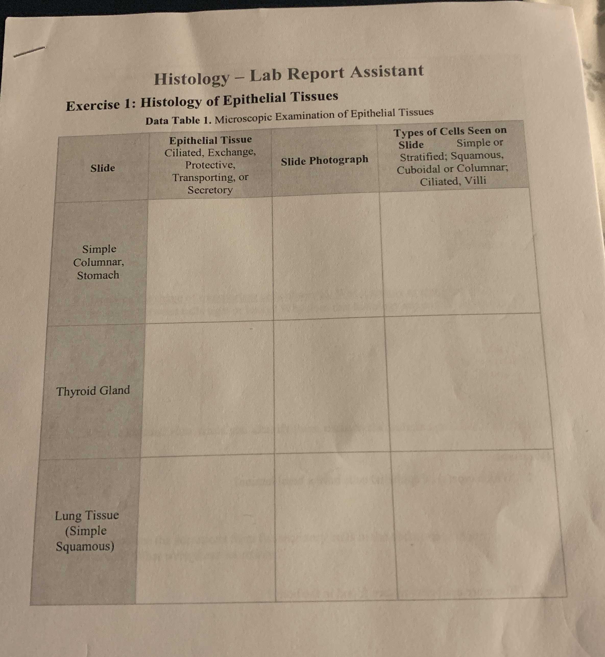 Solved Histology - ﻿Lab Report AssistantExercise 1: | Chegg.com